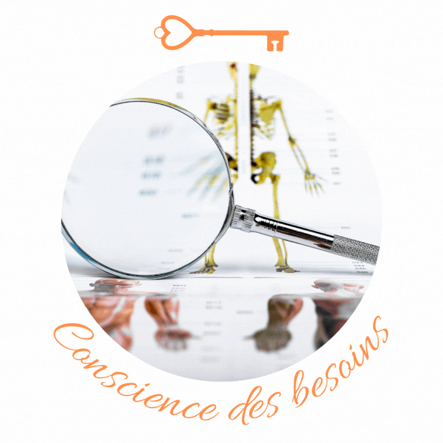 La KLAI Conscience des besoins – KLAI DE CONSCIENCE